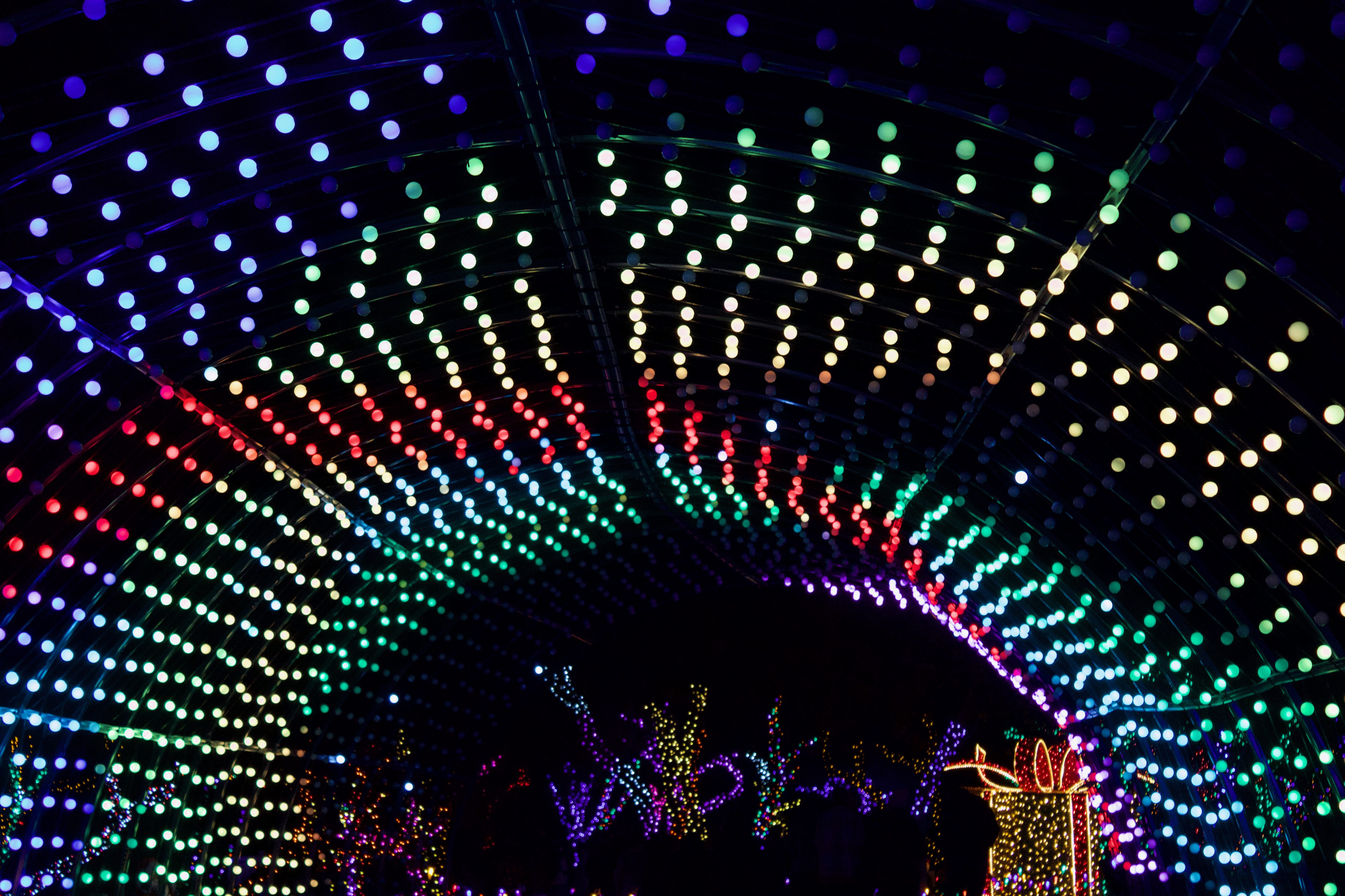 Winter Lightfest Lights Up Nov. 29 | Spirit Of Abilene