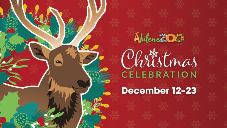 Christmas at the Zoo | Spirit Of Abilene